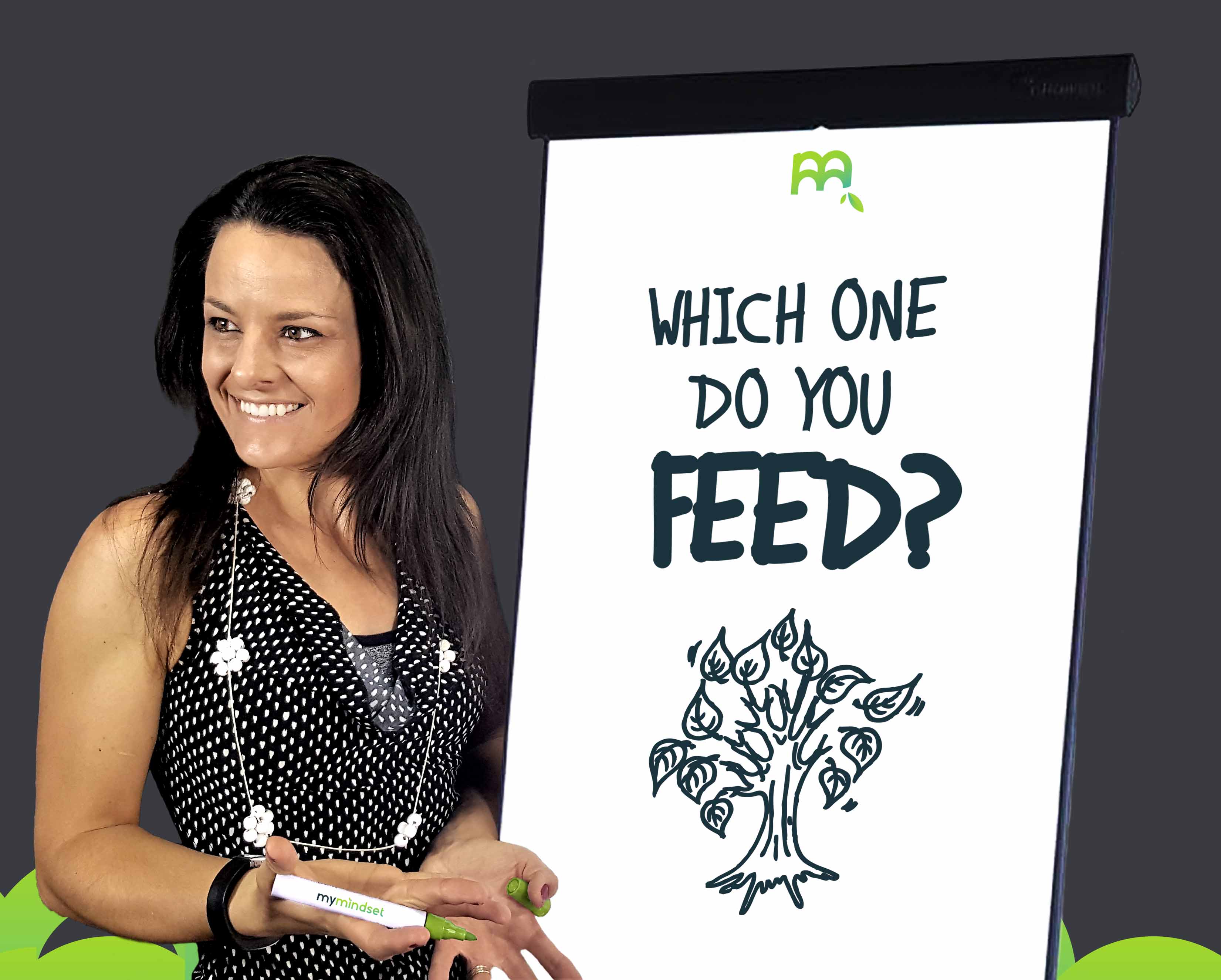 My Mindset Bundle 1-5 | MyMindset